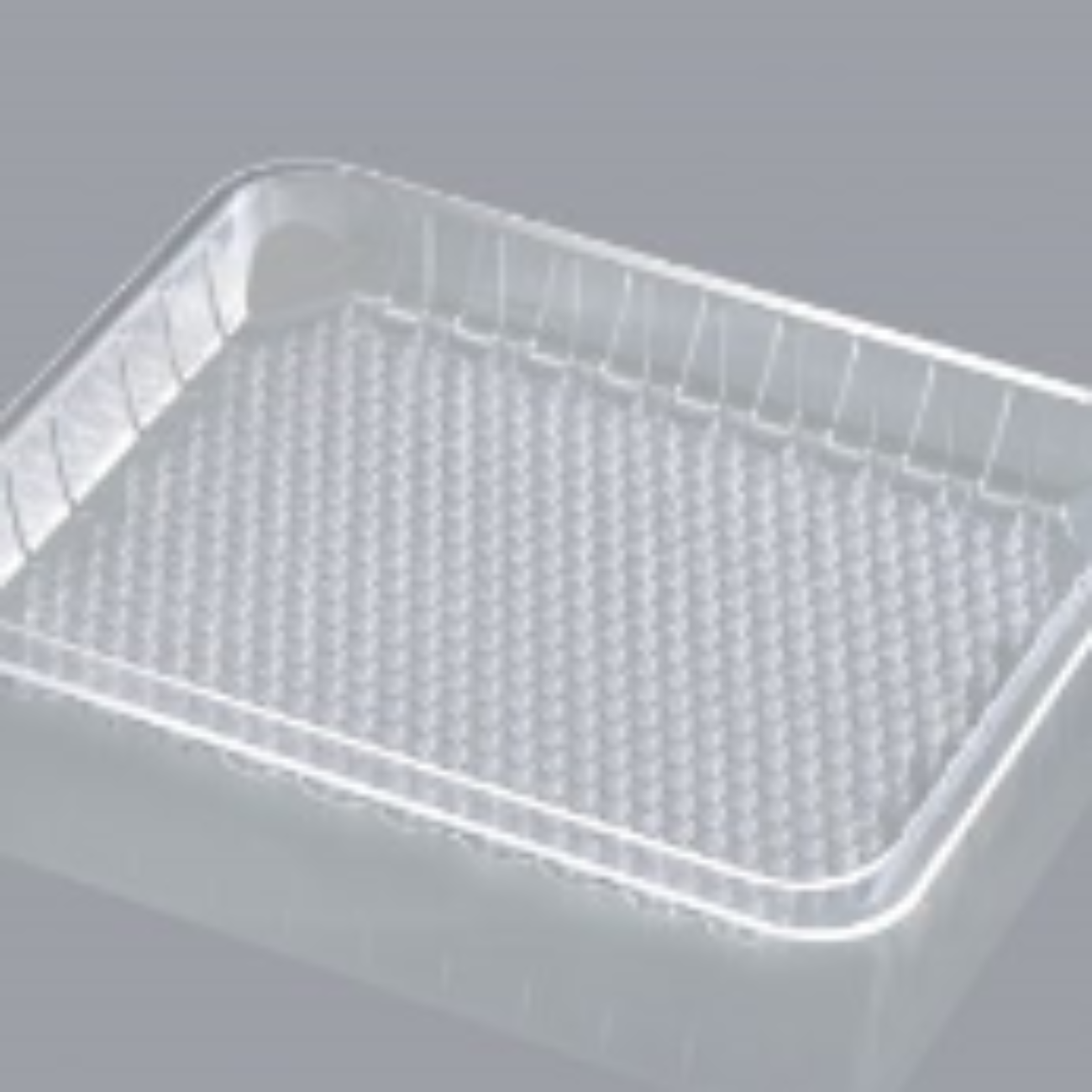 Meet The Team - Multisteps – The world packaging company