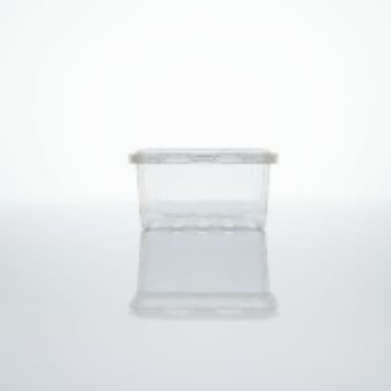 Produce Soaker Pads - Multisteps – The world packaging company