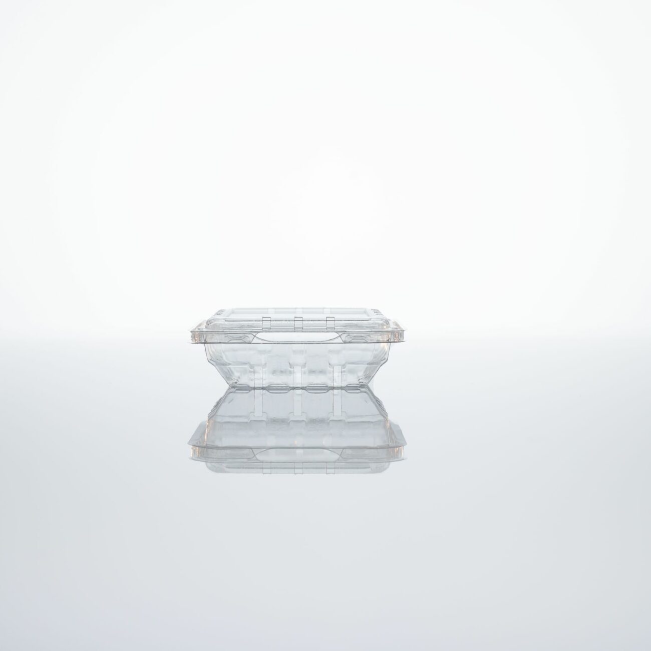 125g Blueberry Punnet Packaging - Multisteps – The world packaging company