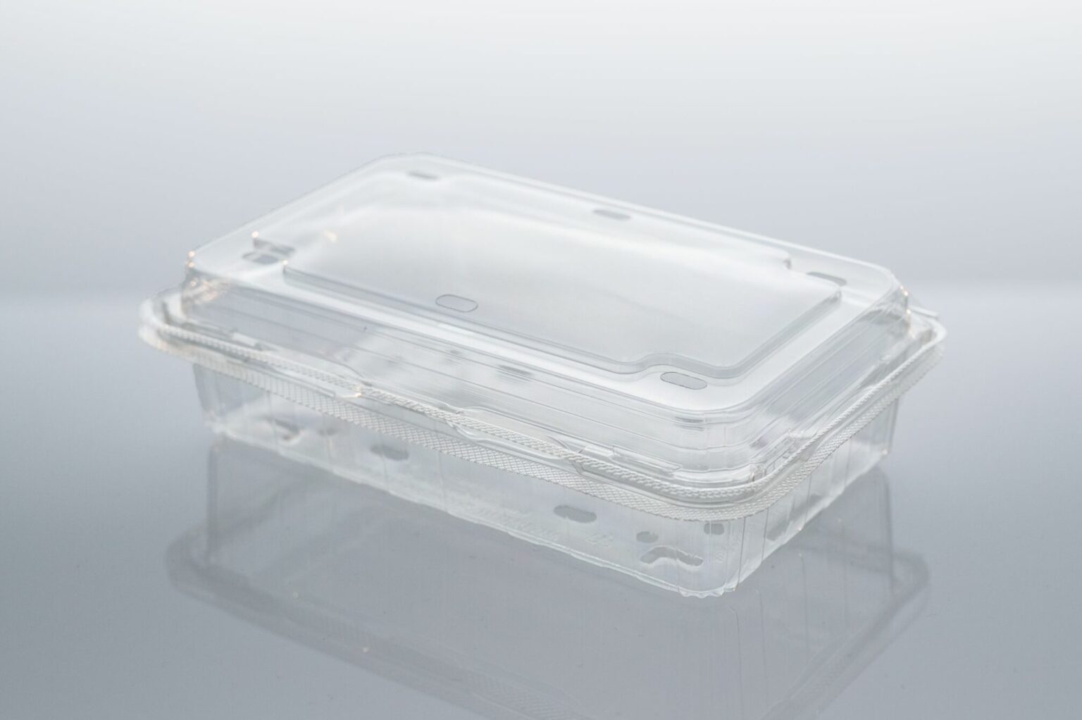 250g Strawberry Punnet Packaging - Multisteps – The world packaging company