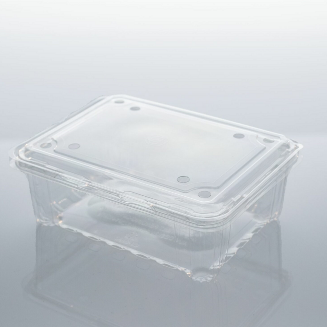 250g Tomato Punnet Packaging - Multisteps – The world packaging company