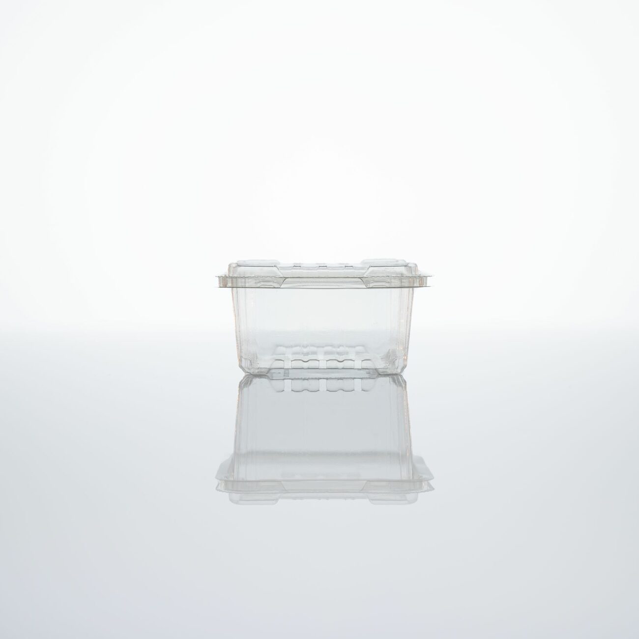 250g Tomato Punnet Packaging - Multisteps – The world packaging company