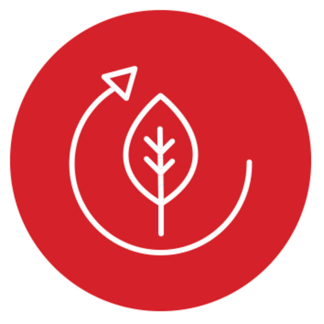 Direct Print Labels Landing Page - Multisteps – The world packaging company