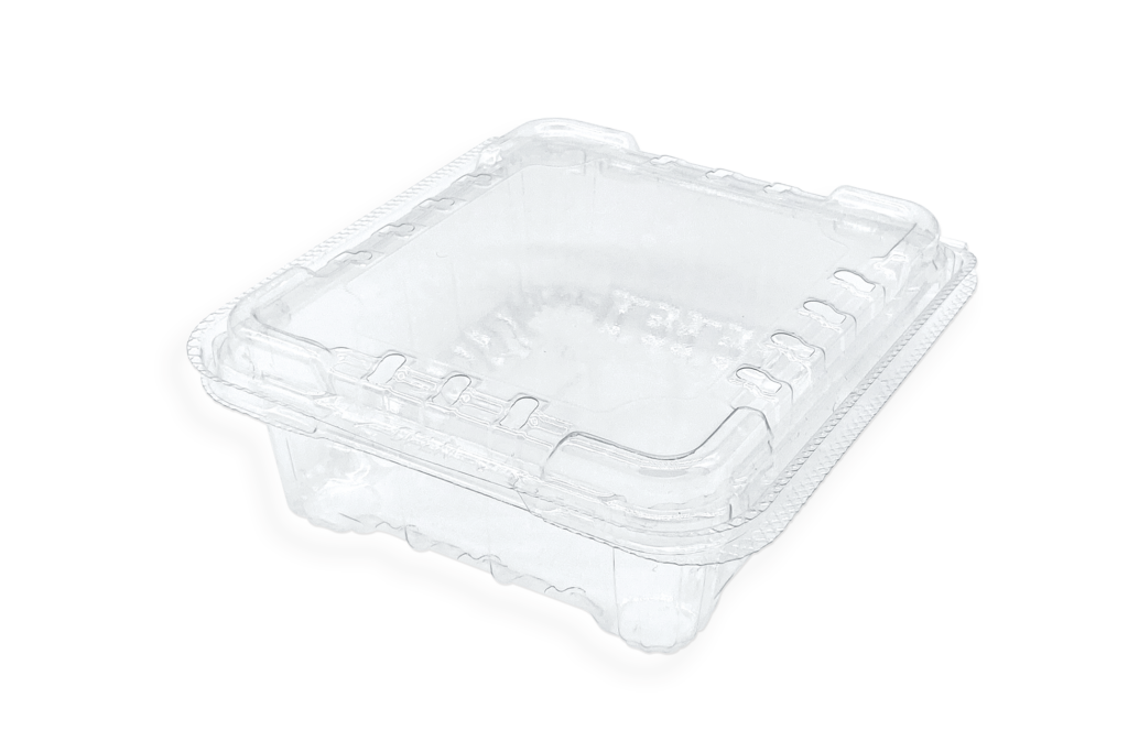 170g Blackberry Punnet Packaging - Multisteps – The world packaging company
