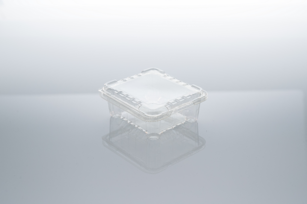 170g Raspberry Punnet Packaging - Multisteps – The world packaging company