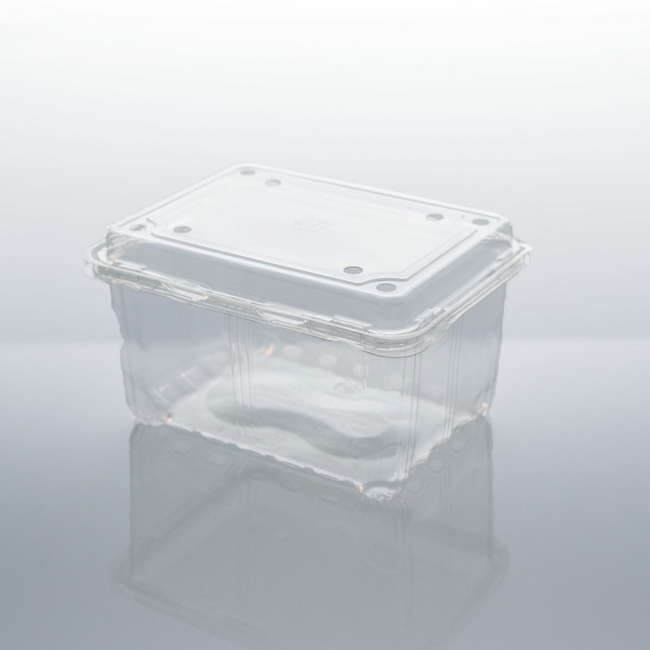 Strawberry - Multisteps – The world packaging company